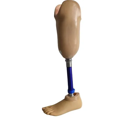 Leg Prosthesis Orthopedic Artificial Limb Prosthetic Leg Parts Below Knee