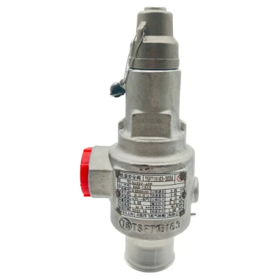 Cryogenic Safety Valve CF8 Safety Relief Valve