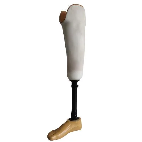 Leg Prosthesis Orthopedic Artificial Limb Prosthetic Leg Parts Below Knee